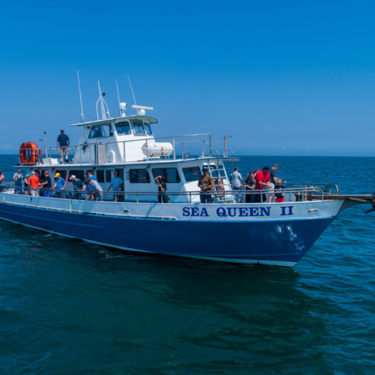 Deep Sea Fishing Cruise on Cape Cod | Hy-Line Cruises