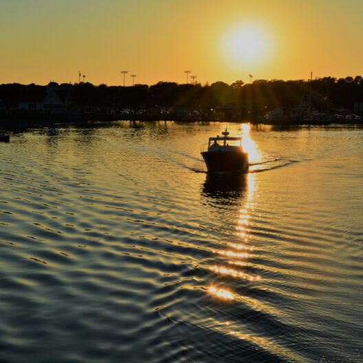 Cape Cod Sunset Cocktail Cruise | Hy-Line Cruises